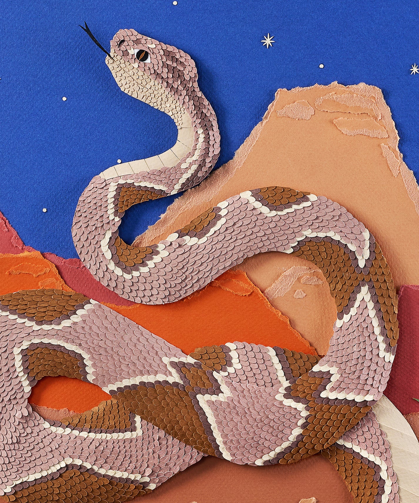 Paper Rattlesnake by Andrea Cira – HeadWestStudio