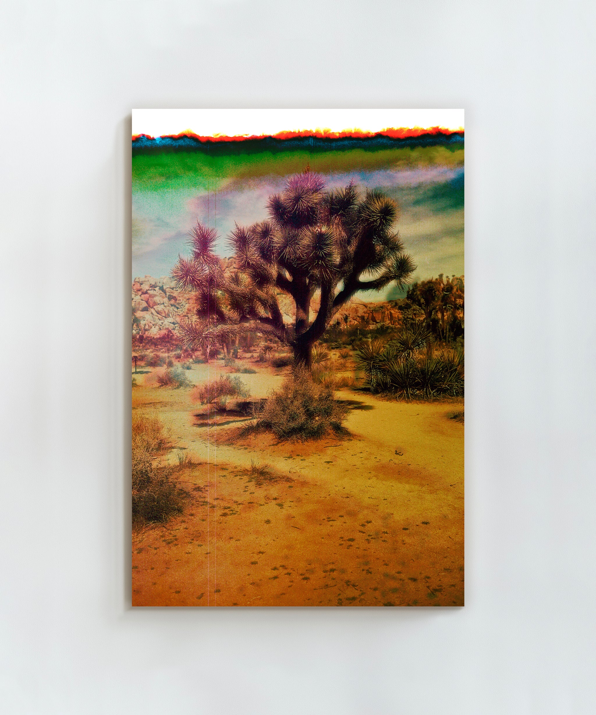 Joshua Tree Landscape #6 by Zachary C. Bako – HeadWestStudio